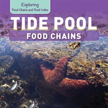 Exploring Food Chains and Food Webs | Rosen Publishing