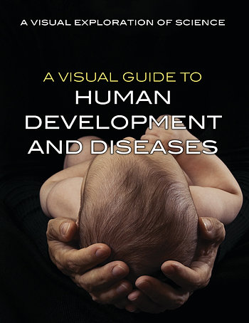 A Visual Guide to Human Development and Diseases | Rosen Publishing